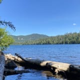 Lost Lake Loop (Lakeshore Trail), Oregon - 511 Reviews, Map | AllTrails