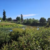 Willapa Hills Trail, Washington - 334 Reviews, Map | AllTrails