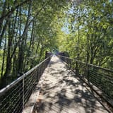 Willapa Hills Trail, Washington - 334 Reviews, Map | AllTrails