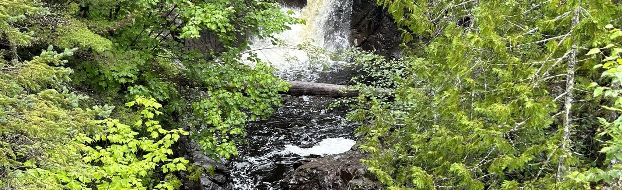 Moose Mountain Loop via Cascade Trail C, Minnesota - 26 Reviews, Map ...