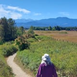 Dungeness Recreation Trail, Washington - 78 Reviews, Map | AllTrails