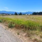 Dungeness Recreation Trail, Washington - 78 Reviews, Map | AllTrails