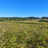 Dungeness Recreation Trail, Washington - 78 Reviews, Map | AllTrails