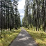 Apgar Bike Trail, Montana - 357 Reviews, Map | AllTrails