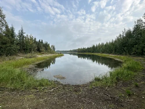 Best Hikes and Trails in Chena Lake Recreation Area | AllTrails