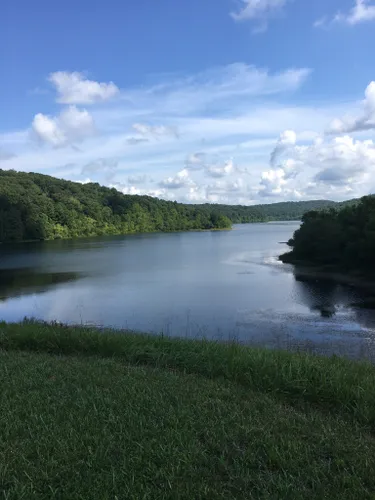 2023 Best Wild Flowers Trails in Saint Croix | AllTrails