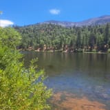 Jenks Lake Trail, California - 877 Reviews, Map | AllTrails