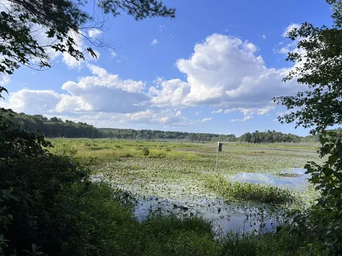 Best Hikes and Trails in Ross Marsh Wildlife Area | AllTrails