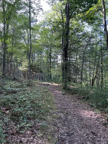 Best Hikes and Trails in Ross Marsh Wildlife Area | AllTrails
