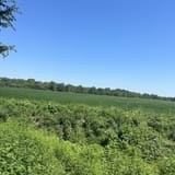 Flint Hills Nature Trail, Kansas - 249 Reviews, Map | AllTrails