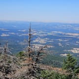 Mount Kit Carson Trail, Washington - 882 Reviews, Map | AllTrails
