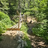 Mount Kit Carson Trail, Washington - 885 Reviews, Map | AllTrails