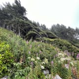 Hidden Beach Trail from Hwy 101, California - 60 Reviews, Map | AllTrails