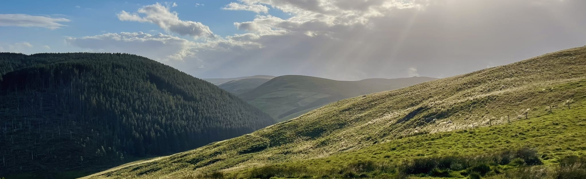 Alwinton and Windy Gyle Circular: 18 Reviews, Map - Northumberland ...