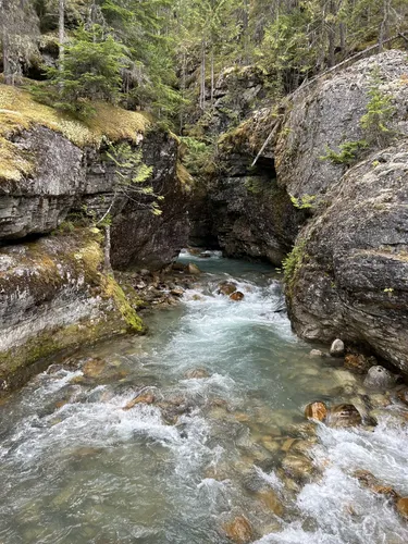Best Hikes and Trails in Blanket Creek Provincial Park | AllTrails