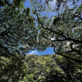 Waimea Valley Trail, Oahu, Hawaii - 1,426 Reviews, Map | AllTrails