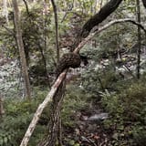 Slateford Creek Falls (Lower Waterfalls), Pennsylvania - 303 Reviews ...