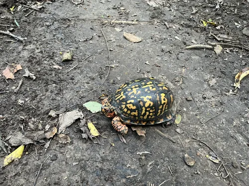 Best Hikes and Trails in Sumner County Park | AllTrails