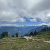 Mount Forgotten Meadows Trail, Washington - 291 Reviews, Map | AllTrails