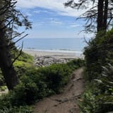 Third Beach Trail to Taylor Point, Washington - 860 Reviews, Map ...