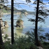 Third Beach Trail to Taylor Point, Washington - 860 Reviews, Map ...