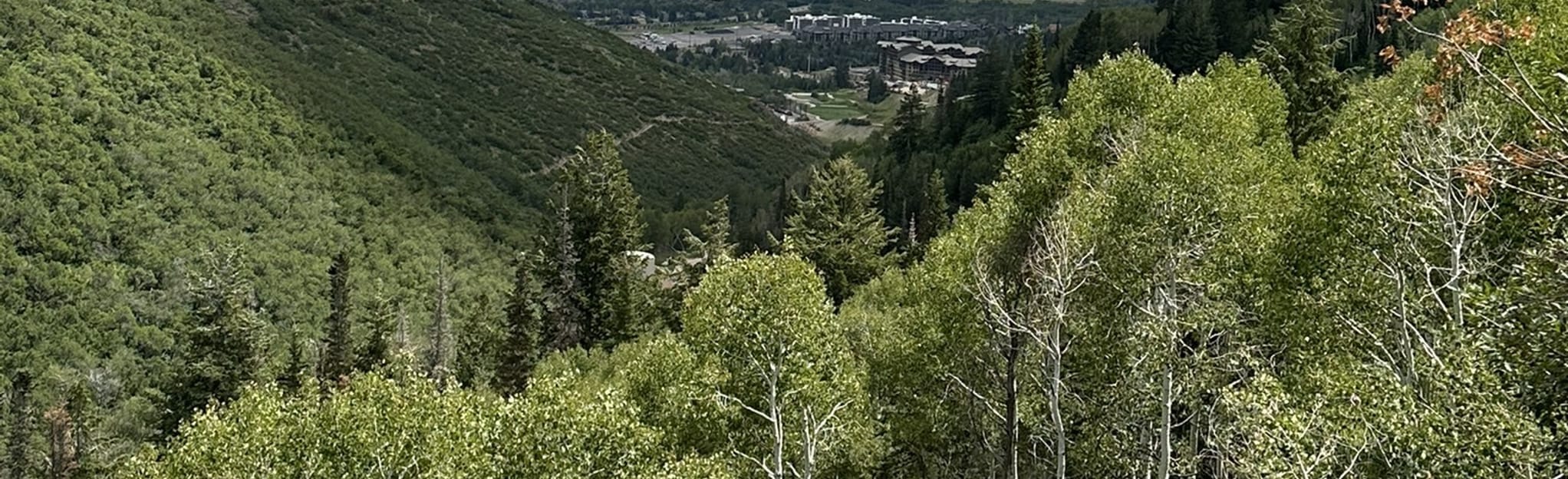 Rob’s Trail, Ambush and Rosebud’s Heaven Loop: 626 Fotos - Utah | AllTrails