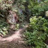 Third Beach Trail to Taylor Point, Washington - 860 Reviews, Map ...