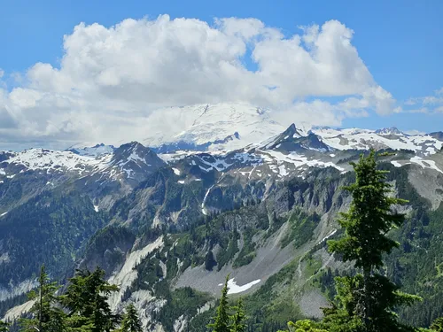 10 Best Trails and Hikes in Maple Falls | AllTrails