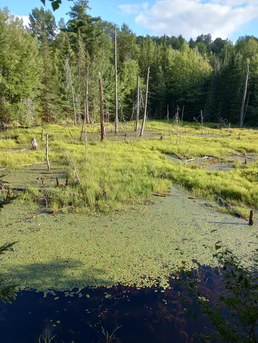 Best Hikes and Trails in Thomas P. Murray Recreation Area | AllTrails