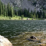 Timber Lake Trail, Colorado - 544 Reviews, Map | AllTrails