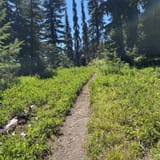 Diamond Lake, Washington - 47 Reviews, Map | AllTrails