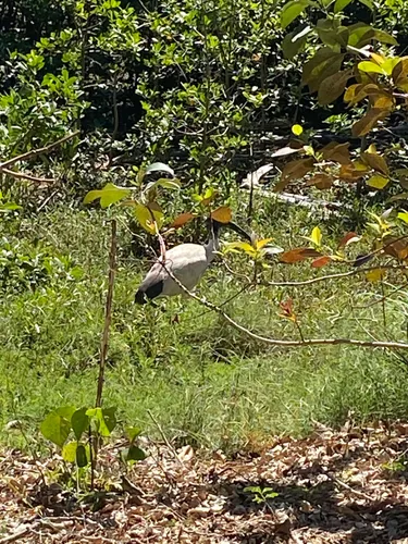 Best Hikes and Trails in West Mackay | AllTrails