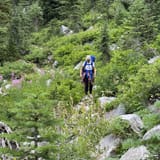 Box Lake Trail, Idaho - 267 Reviews, Map | AllTrails