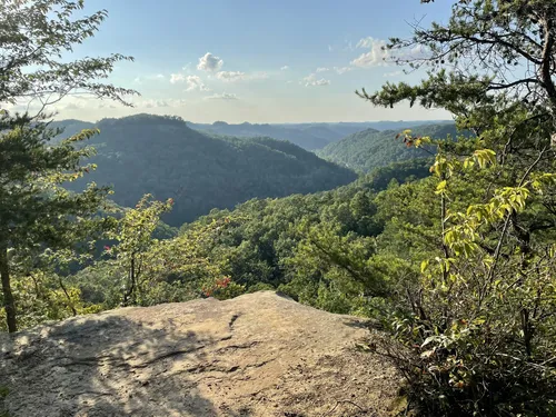 10 Best Hikes and Trails in Natural Bridge State Park | AllTrails