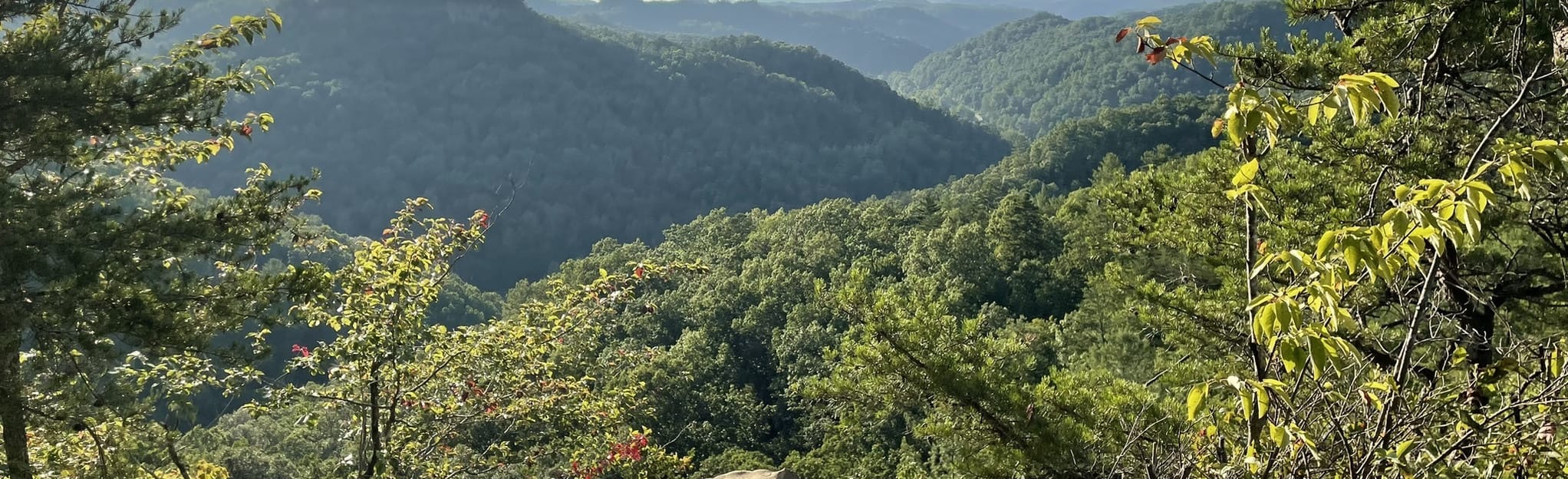 Rock Garden and Hood's Branch Trail, Kentucky - 363 Reviews, Map ...