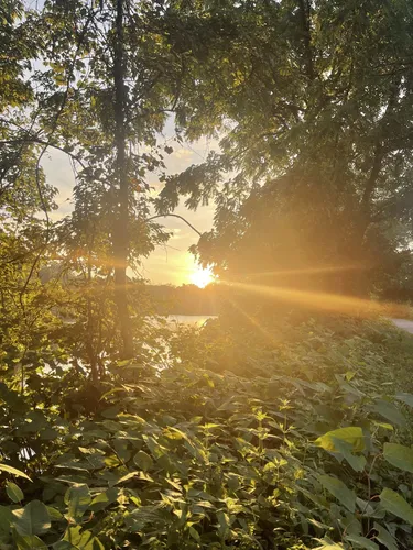 2023 Best River Trails in Mont Clare | AllTrails