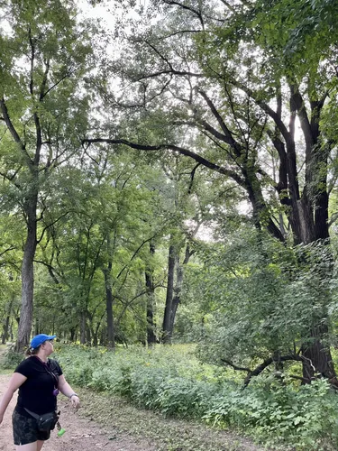 2023 Best Forest Trails in Fort Snelling | AllTrails