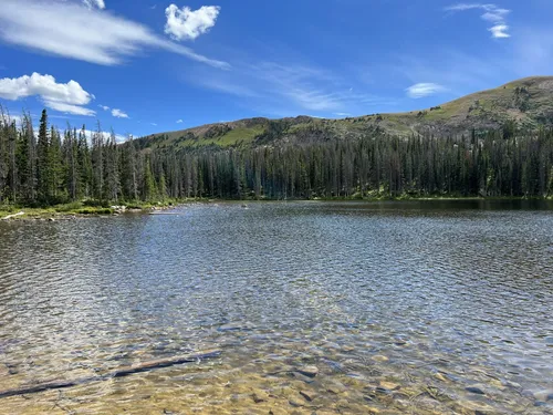 10 Best Trails and Hikes in Salida | AllTrails