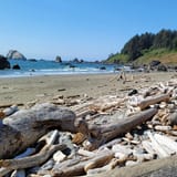 Hidden Beach Trail from Hwy 101, California - 60 Reviews, Map | AllTrails
