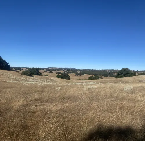 Best 10 Hikes and Trails in Santa Rosa Plateau Ecological Reserve ...