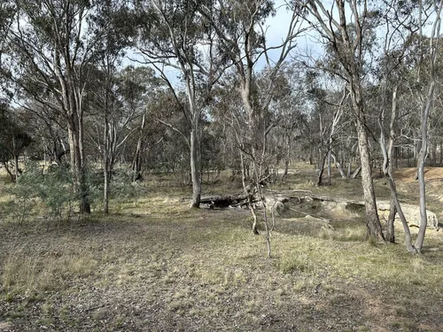 2023 Best Kid Friendly Trails in Throsby | AllTrails