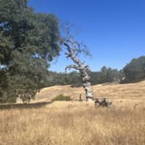 Foresthill Divide Loop, California - 1,065 Reviews, Map | AllTrails