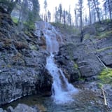 Morrell Falls National Recreation Trail, Montana - 507 Reviews, Map ...