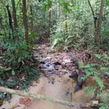 Bukit Lagong Trail, Selangor, Malaysia - 14 Reviews, Map | AllTrails