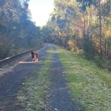 Cardinia Aqueduct Trail, Victoria, Australia - 274 Reviews, Map | AllTrails