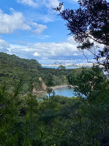 Best Hikes and Trails in Kauri Point Centennial Park | AllTrails