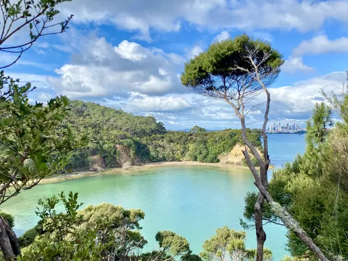 Best Hikes and Trails in Kauri Point Centennial Park | AllTrails