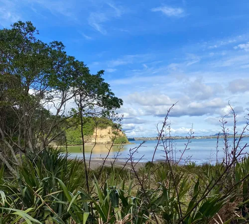 Best Hikes and Trails in Kauri Point Centennial Park | AllTrails