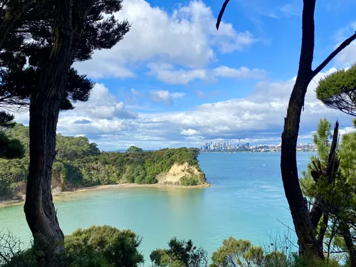 Best Hikes and Trails in Kauri Point Centennial Park | AllTrails