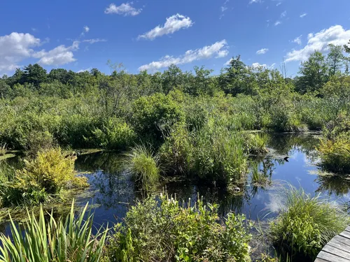 Best Hikes and Trails in Hathorne | AllTrails